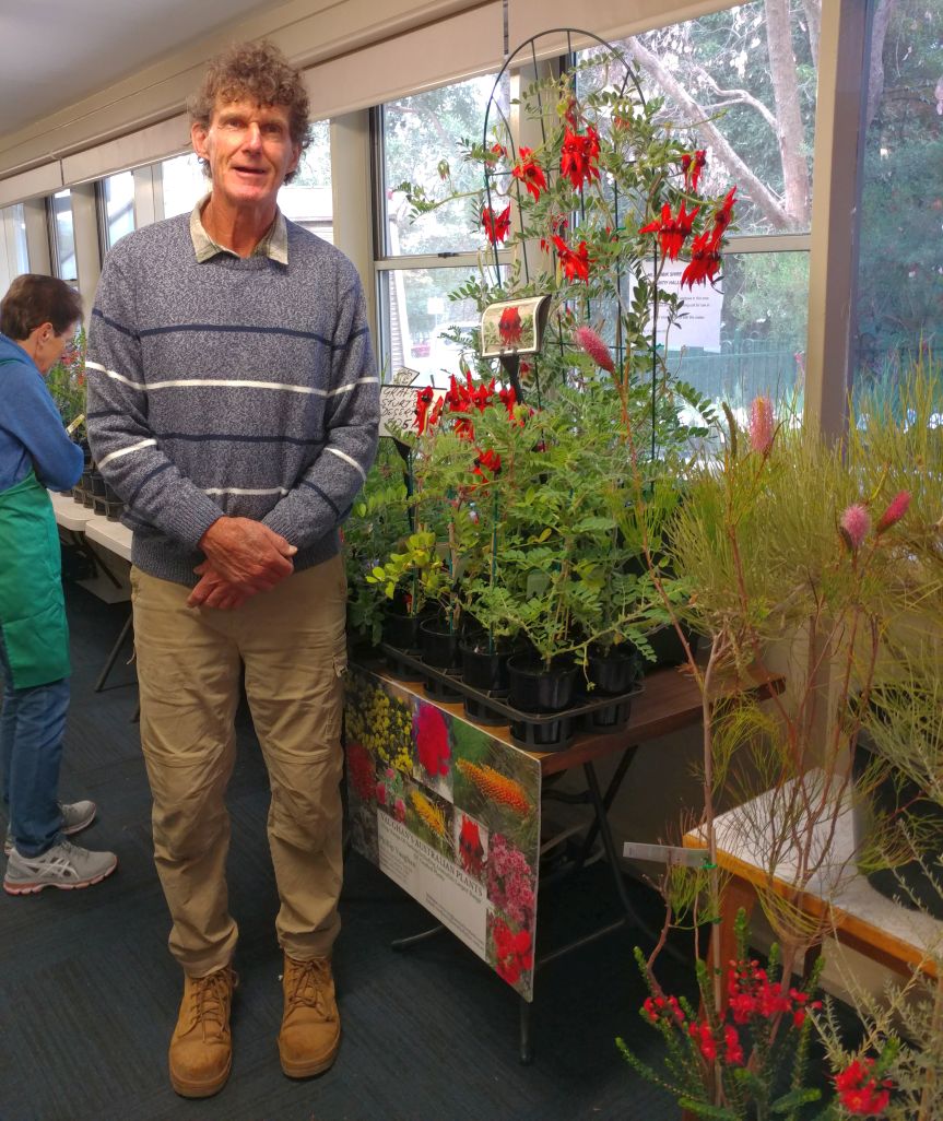 Phil Vaughan with Sturt Desert Peas – Australian Plants Society Yarra ...