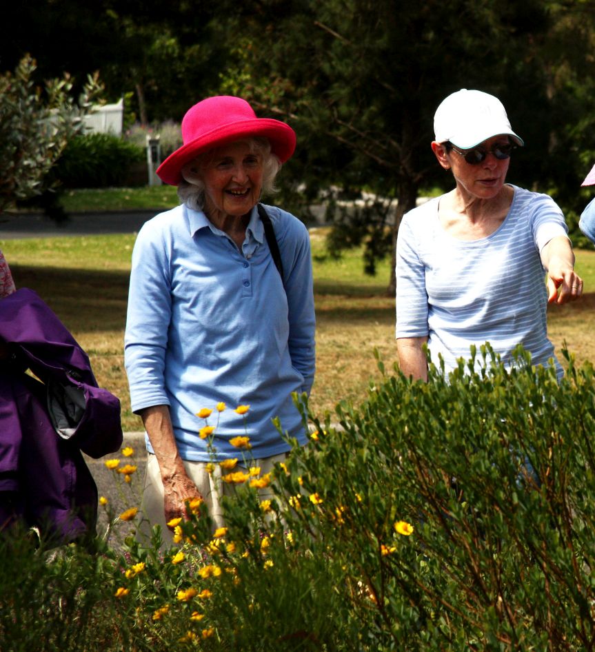 Two delightful smaller gardens in Donvale – Australian Plants Society ...